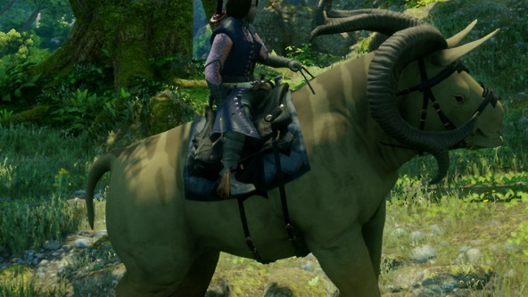 Dragon Age: Inquisition – How to Get the War Nug Mount | Game Front